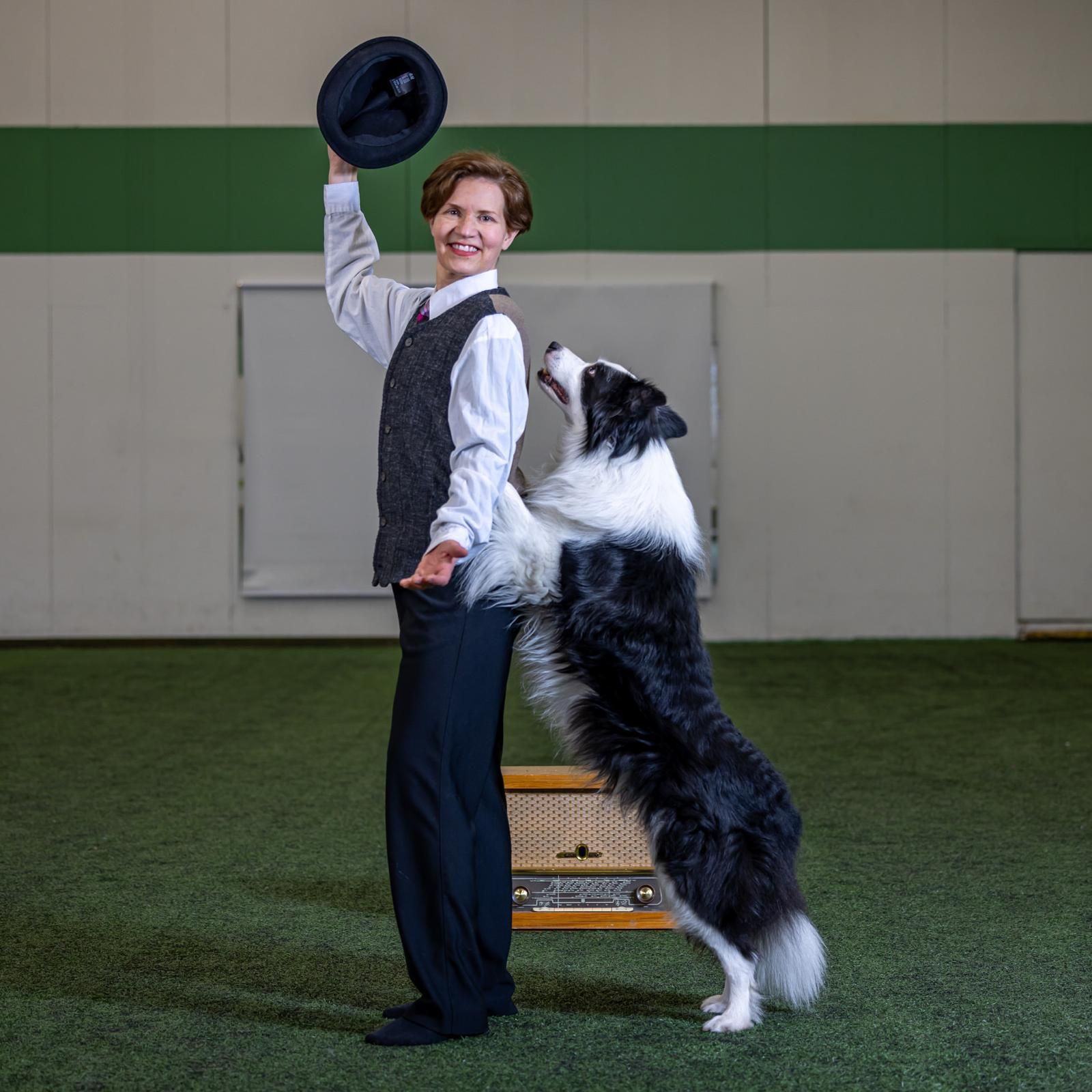 Amazeme Border Collies